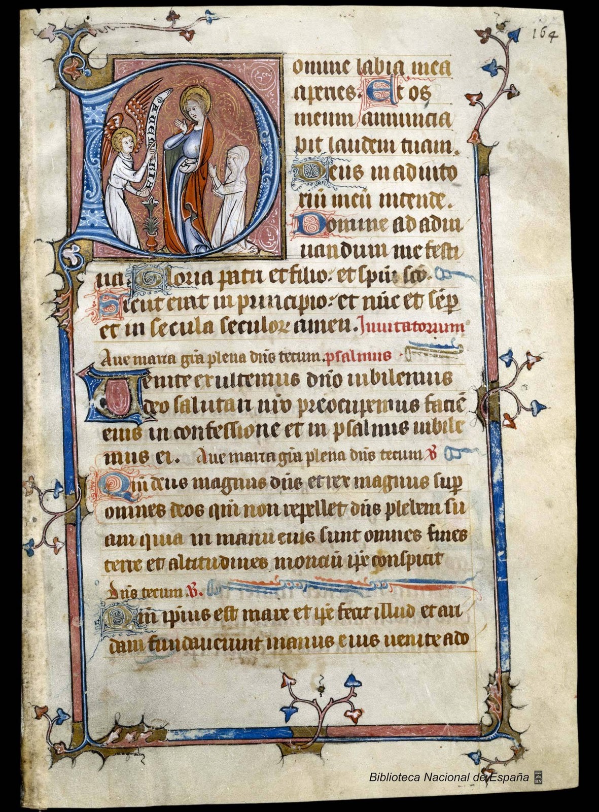 SCIAPODA: SALTERIO. LIBRO DE HORAS