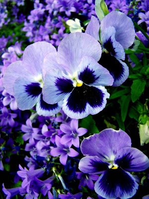 4EverLove - My Garden