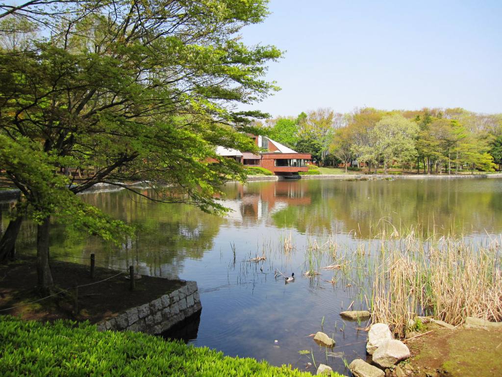 Inside Japan: Doho park in April