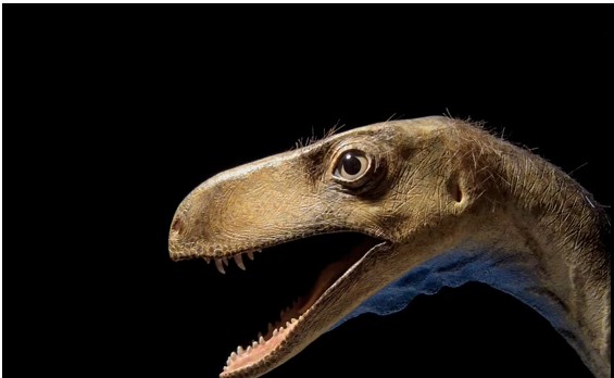 Recursos Educativos: Pequeno dinossáurio predador, descoberto na Argentina