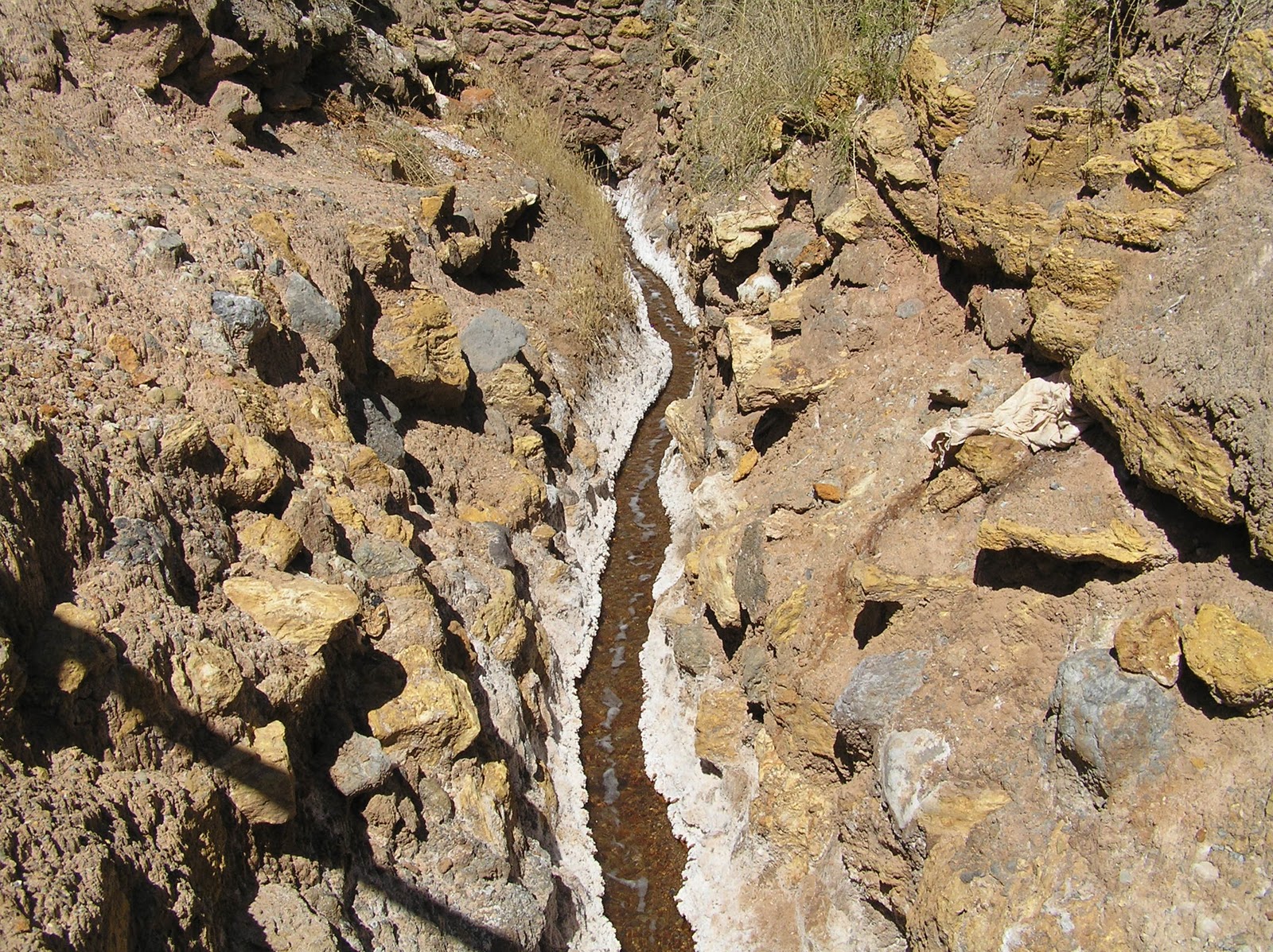 A lifetime of crazy, fun and unique adventures!: The incredible Inca ...