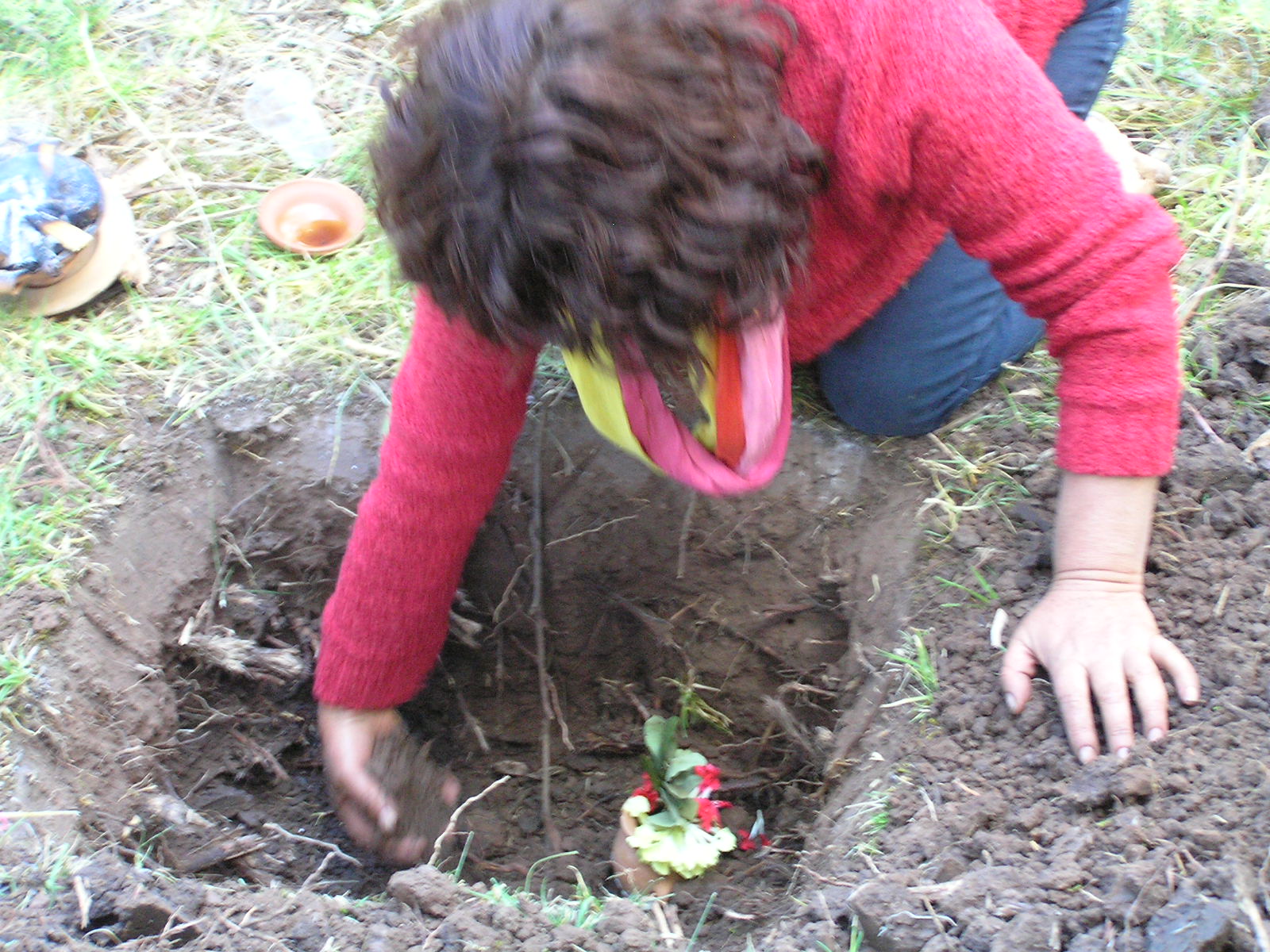 A lifetime of crazy, fun and unique adventures!: Pachamama Despacho ...