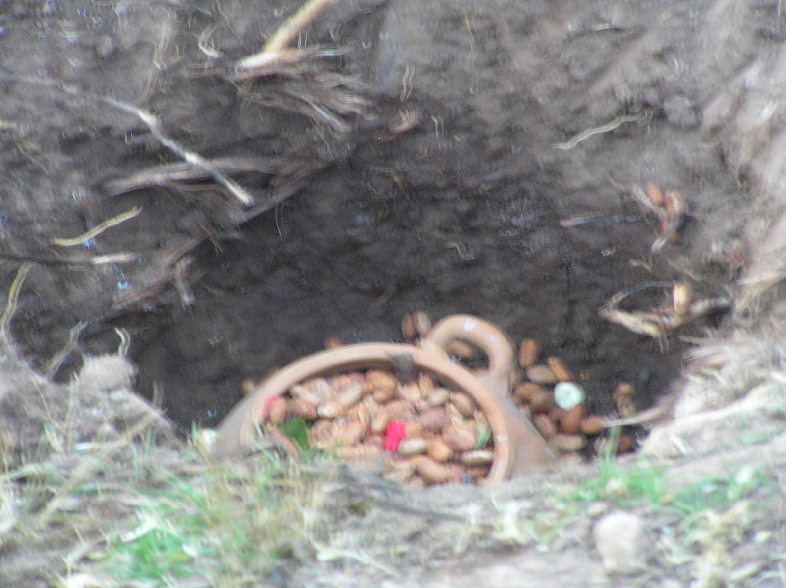 A lifetime of crazy, fun and unique adventures!: Pachamama Despacho ...