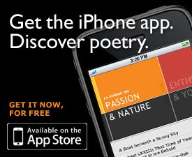 Poetry & Popular Culture: Just What Poetry's Spin Doctor Ordered: A ...