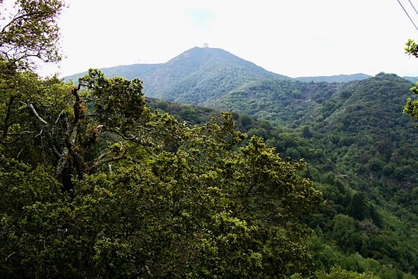 Hiking To Heaven: Hiking to Mt Umunhum
