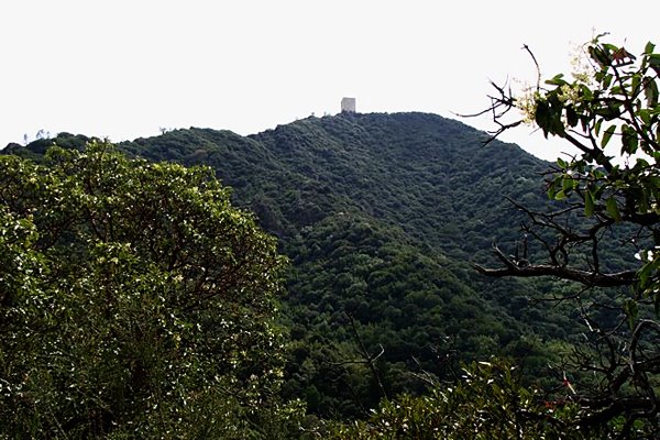 Hiking To Heaven: Hiking to Mt Umunhum