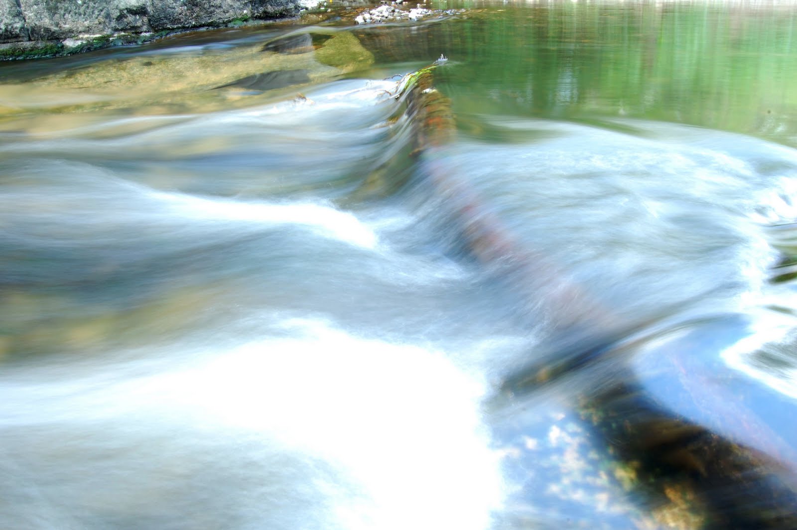 Movement: Water movement