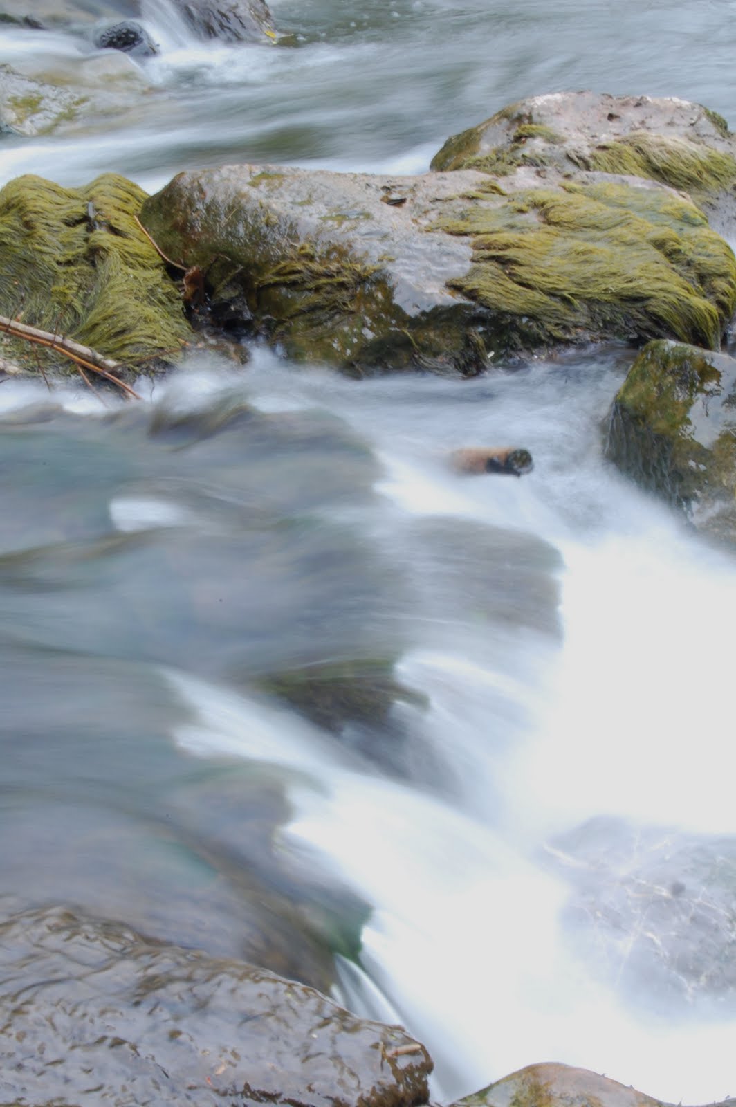 Movement: Water movement