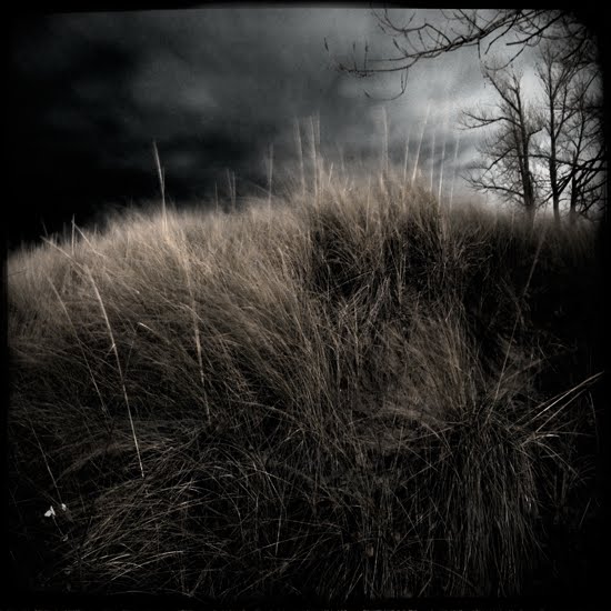 The Cut Project Gemma Seager: Melancholic and Inspirational imagery for ...