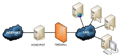 Seguridad en Redes: Tipos de Protección para una Red