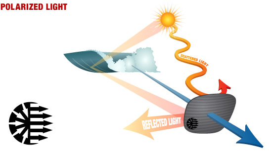 CATEYE Spectacles: It's Science! | Polarized Lenses 101