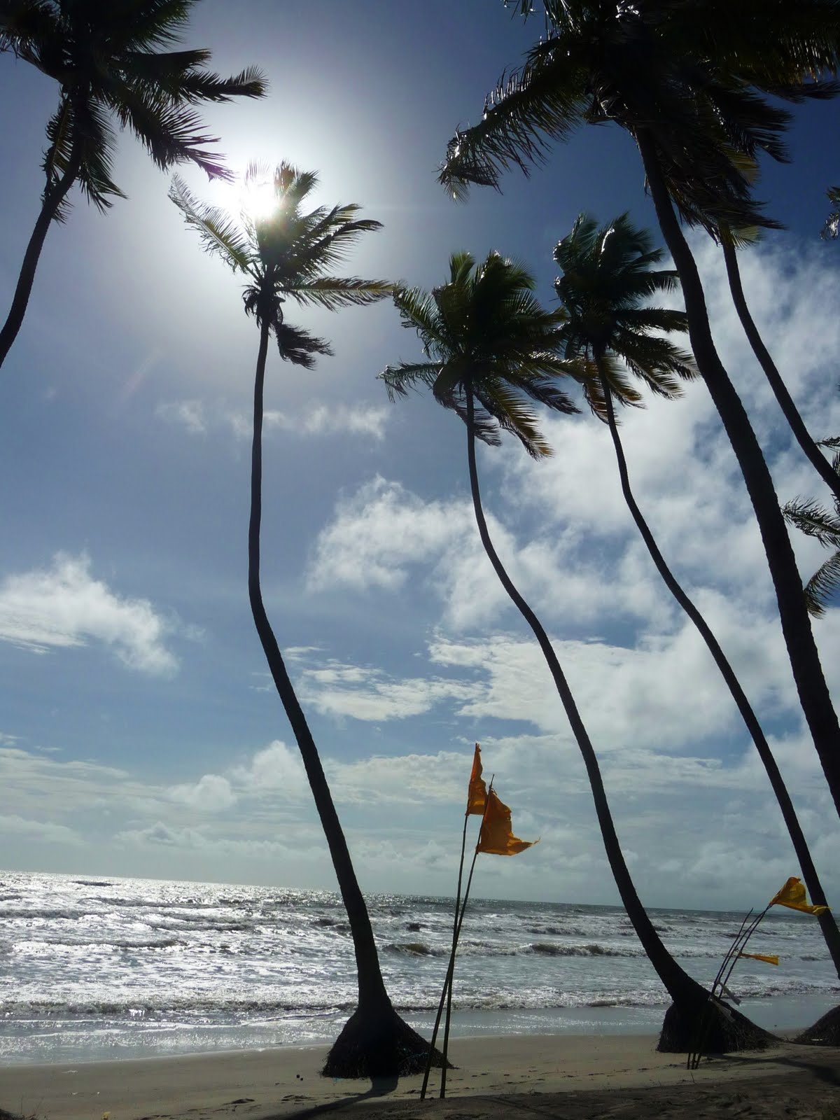 Trinidad and Tobago: Nariva Swamp