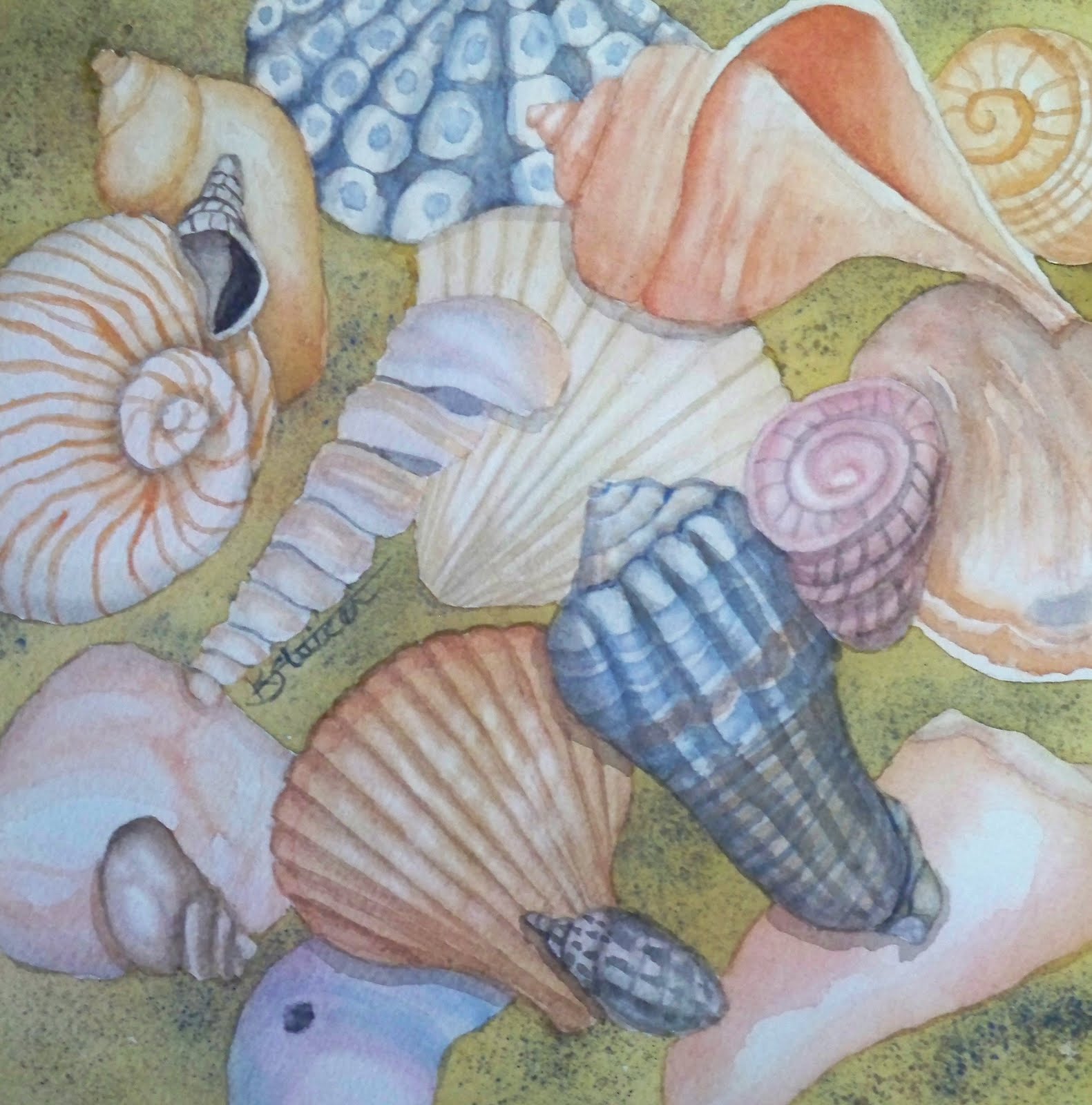 katsart: Seashells on the Beach