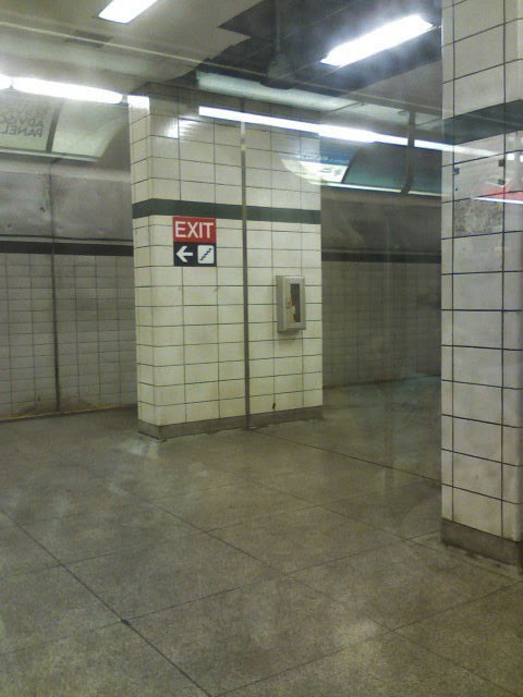 Buck Tracks: TTC - Lower Bay Station