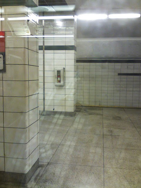 Buck Tracks: TTC - Lower Bay Station