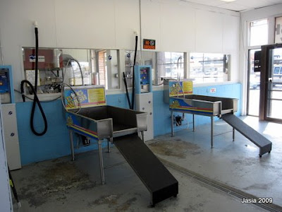 10 Reasons Your Dog Will Love St Joseph, MI