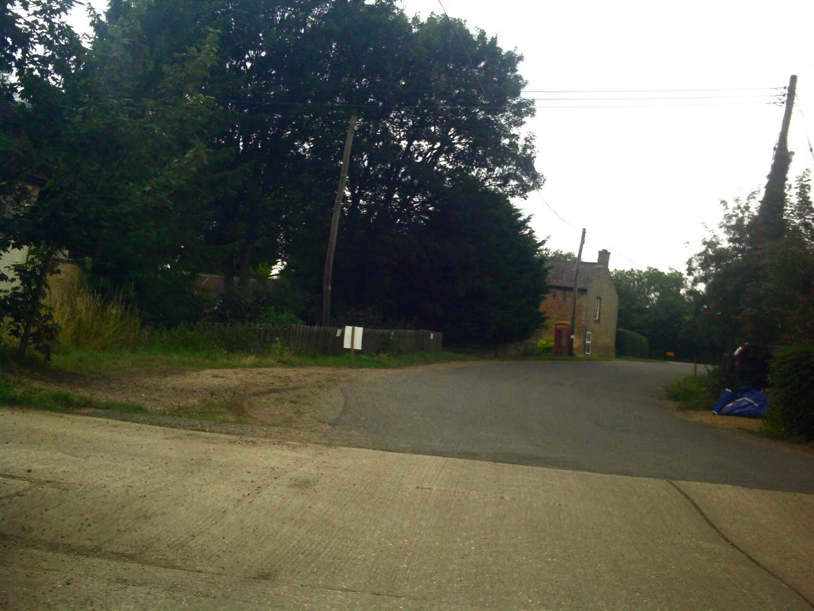 Travels with the Pink Panther