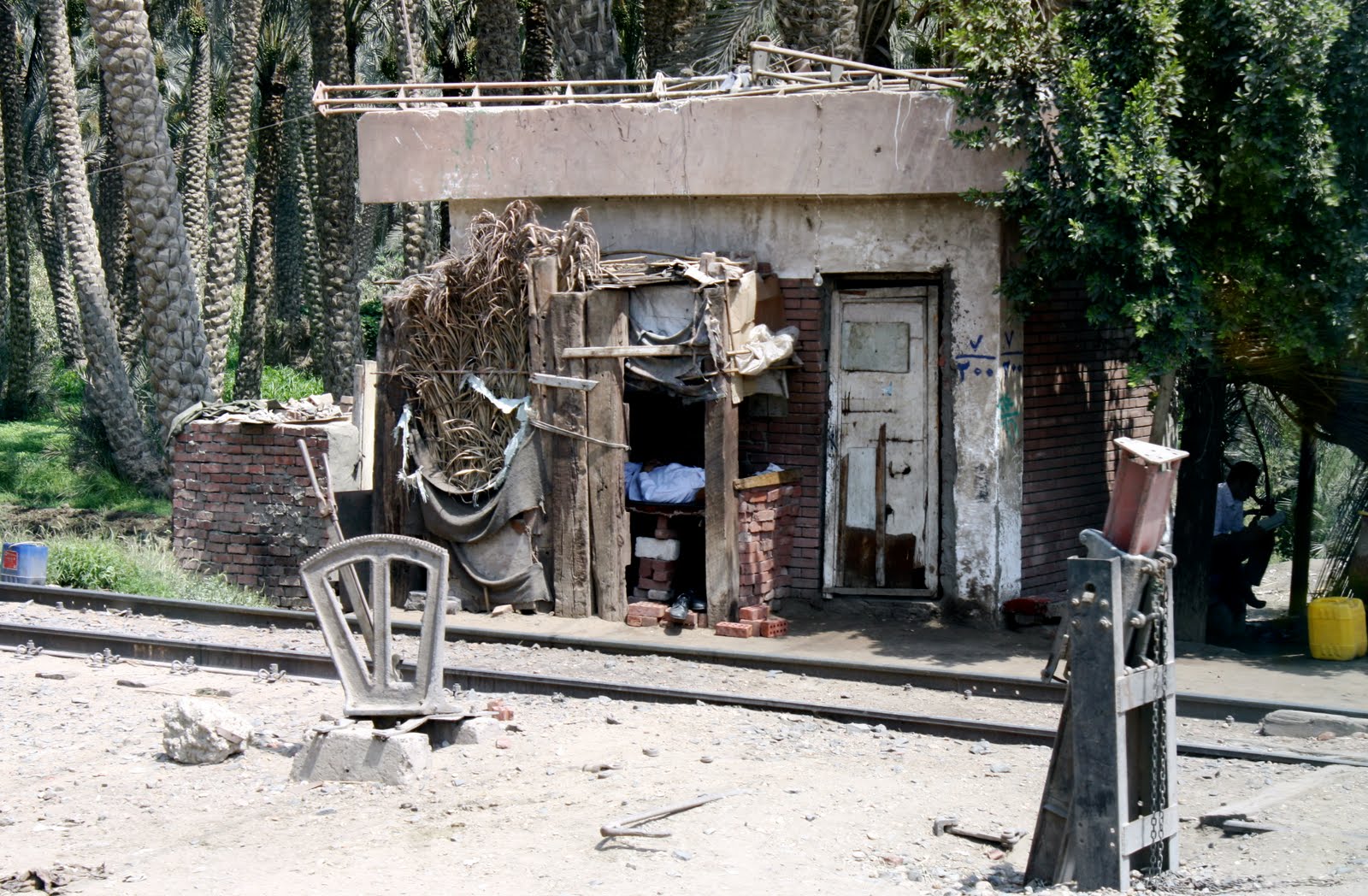 Desert Caravan: Traveling Back in Time to Ancient Egypt