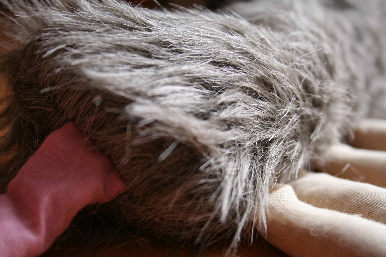 cute little ugly things: a furry something