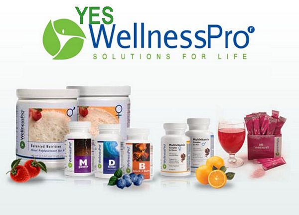 WellnessPro Nutritional Shakes: WellnessPro Force of Nature