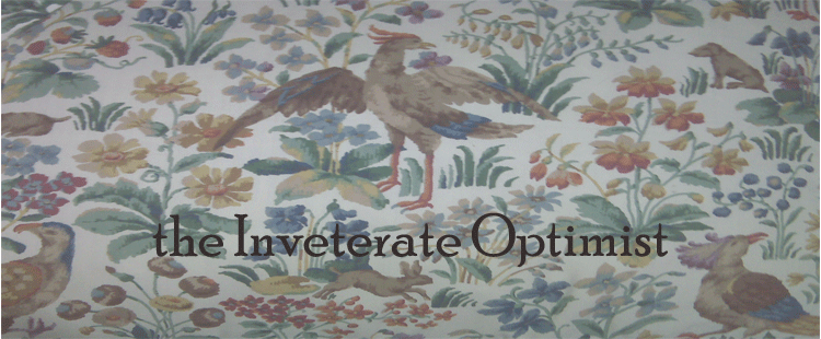 the Inveterate Optimist: The Advent Book