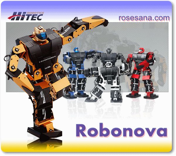 2R Hardware & Electronics: Robonova-1 humanoid Robot Kit