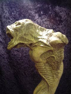 In Tenebris Scriptus: dicembre 2007