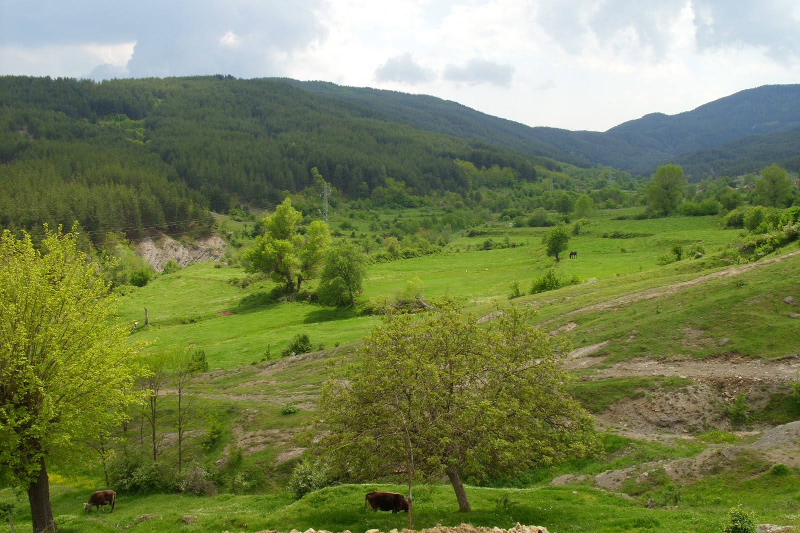 creactive: Bulgaria The Land of Naturalness