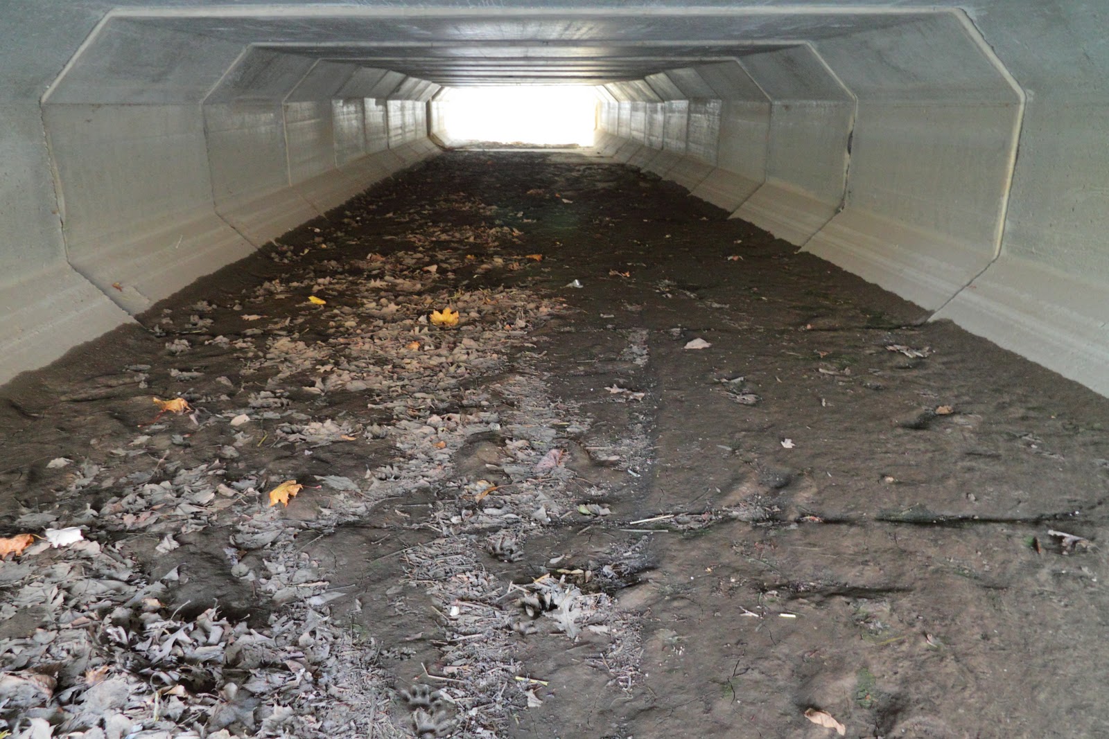 The Contractor Report: Rawson fails to clean mud from box culvert