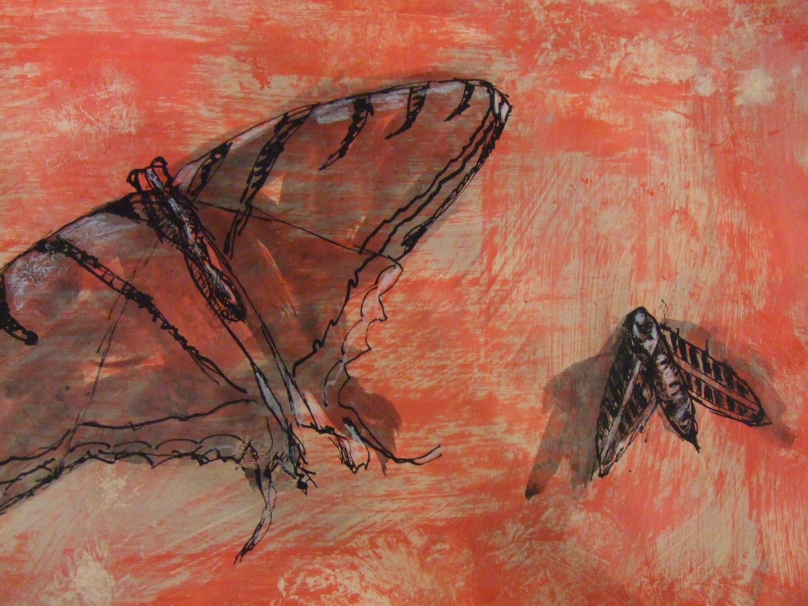 Holly's Art Spot: Insect Ink Drawings