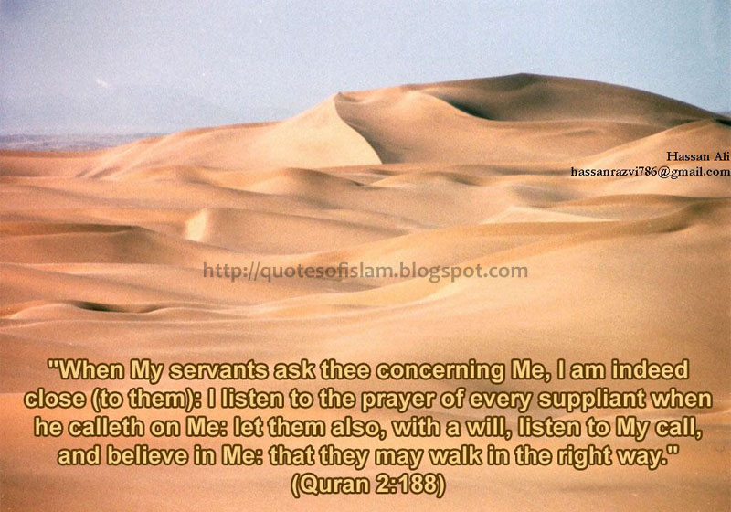 Islamic Quotes: 5 Hadiths of Prophet [PBUH] and Holy Quran