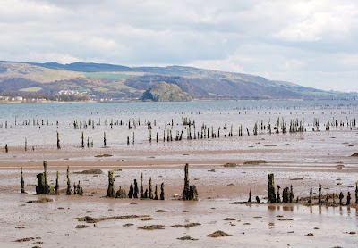 Scotland for the Senses: The timber ponds of the River Clyde