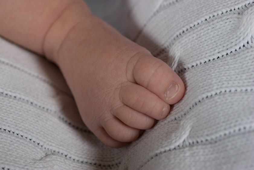 twenty-two pleasant: tasty toes, yogourt, and granola recipe