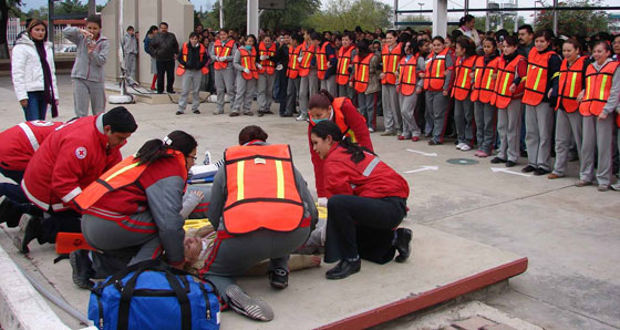 CV3L@R4Z¡EL!!!: Las brigadas