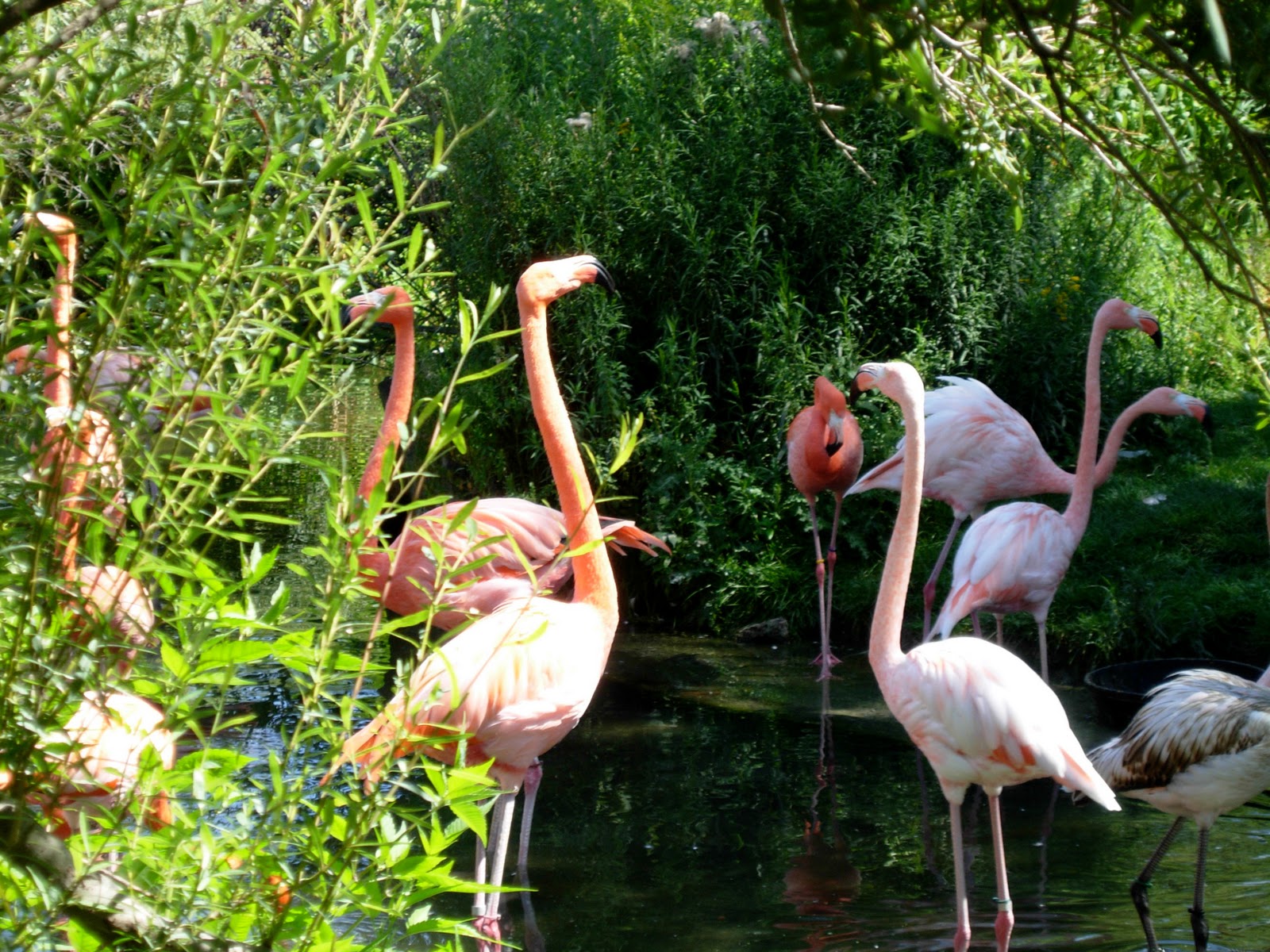 Come up and close with nature's beautiful animals at the Toronto Zoo ...