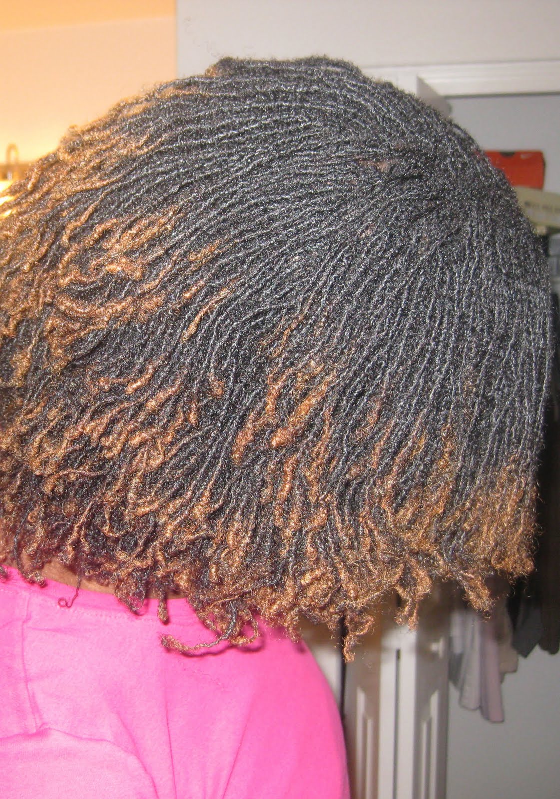 Kreyola's Journeys: Ugly Sisterlocks Stage? I think Not!