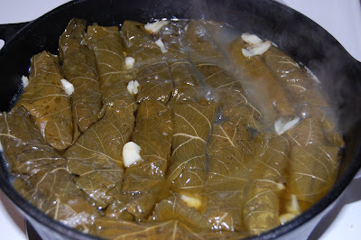 Culinary Infatuation: Warak Enab- Stuffed Grape Leaves