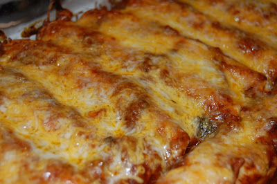 Culinary Infatuation: Shredded Beef Enchiladas with Red Chili Sauce