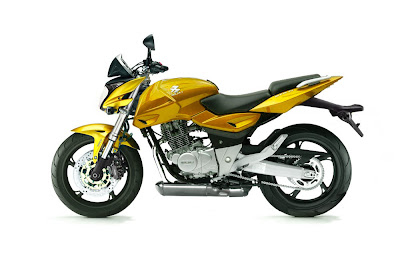 TECHNOVENZA 1: Pulsar 300 cc??