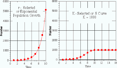 Predator Haven: r AND K SELECTION / MOSQUES
