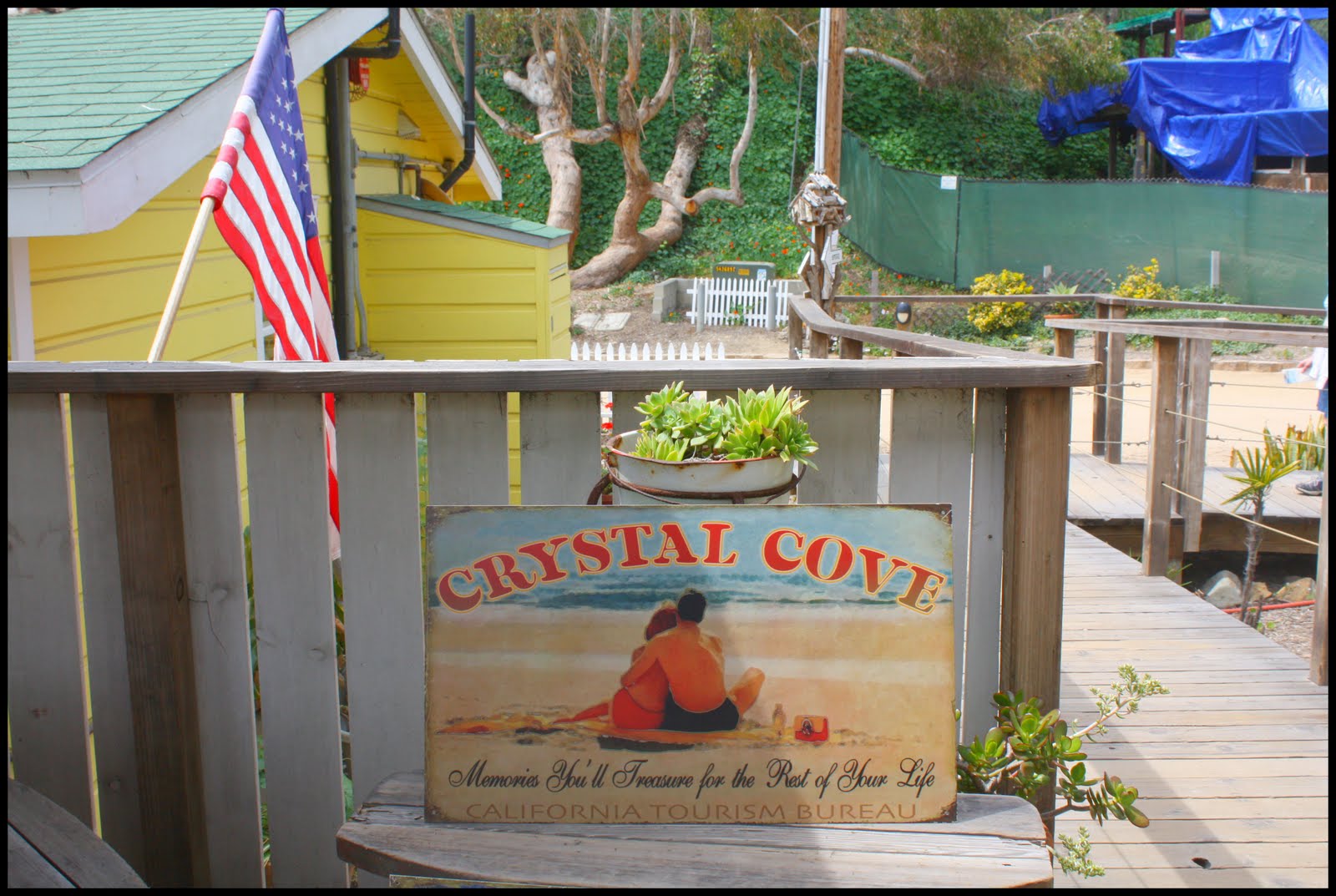 Don't Blink...: Crystal Cove