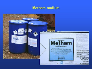 chemicals: February 2009