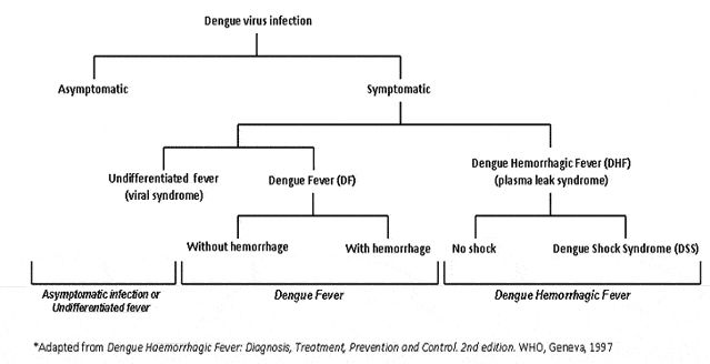 IMDOC: Another reason to be careful of females "DENGUE"