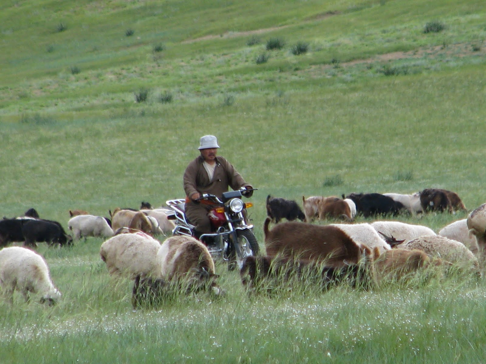 Samarkand Bound: Mongolia