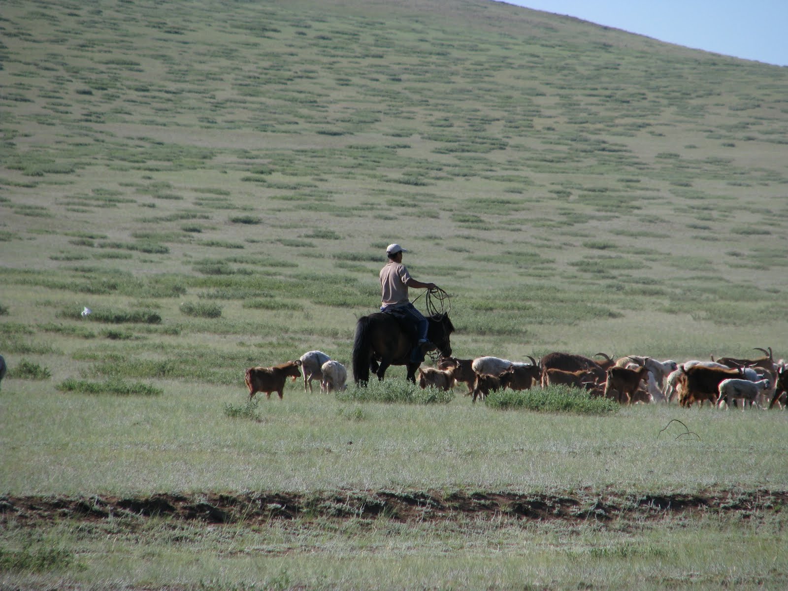 Samarkand Bound: Mongolia