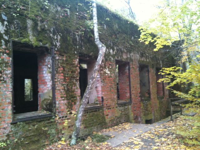 Around the World in Flightless Ways: Wolf's Lair