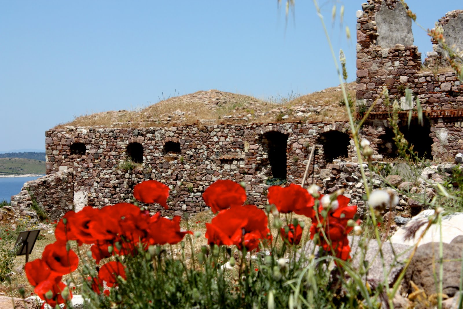 it's all greek to me....: mitilini