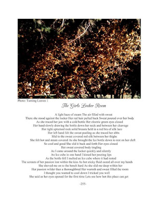 Caustic Cover Critic: I Hope She Earned Enough from Her Crappy Movies ...