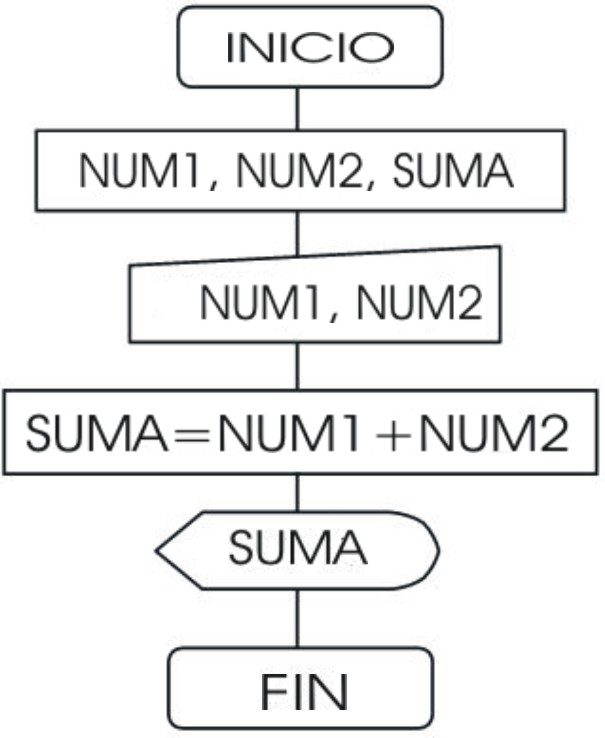 INFORMATICA 2010-1: Caracteristicas De Un Algoritmo: