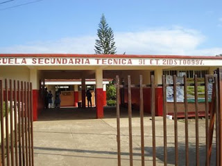 escuela y profeciones: Escuelas